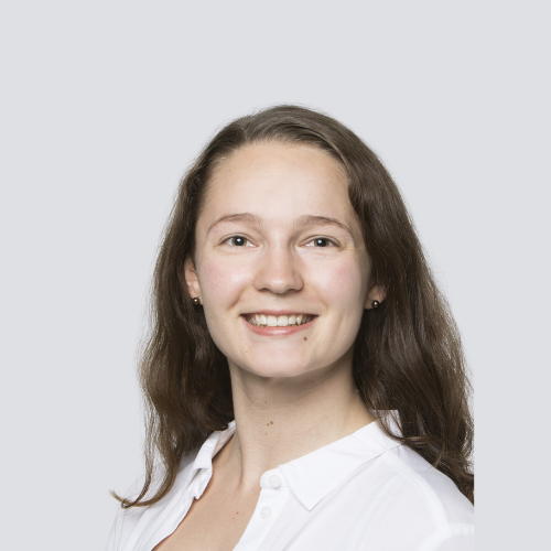 Team LLSM – Lernen sichtbar machen